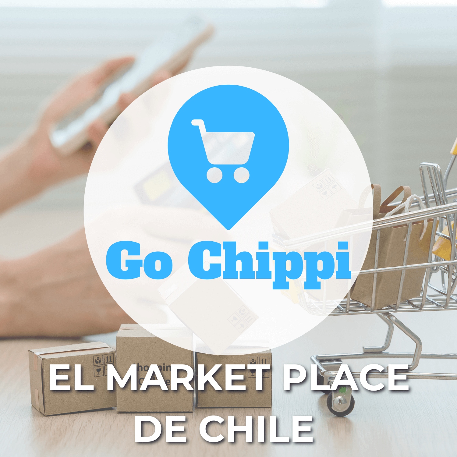 GoChippi – Bailab AI